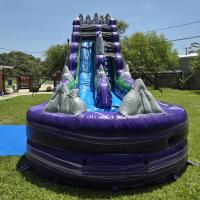 China Digital Printing Rockery Theme Water Slide Inflatable for Indoor and Outdoor Entertainment for sale