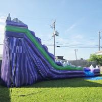 China Digital Printing Rockery Theme Water Slide Inflatable for Indoor and Outdoor Entertainment for sale