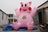 China Double-Triple Stitched Inflatable Chicken The Perfect Addition to Your Outdoor Event for sale