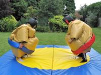 China CE Blower Repair Accessories Included Colorful Sumo Wrestling Suit for Kids and Adults for sale