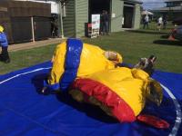 China CE Blower Repair Accessories Included Colorful Sumo Wrestling Suit for Kids and Adults for sale