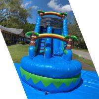 China CE/EN71/EN14960 Certified 30ft Outdoor Water Park Blue Tropical Palm Tree Water Slide for 5-10 Passengers for sale