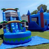 China CE/EN71/EN14960 Certified 30ft Outdoor Water Park Blue Tropical Palm Tree Water Slide for 5-10 Passengers for sale