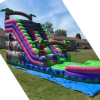 China CE/EN71/EN14960 Certified 30ft Outdoor Water Park Blue Tropical Palm Tree Water Slide for 5-10 Passengers for sale