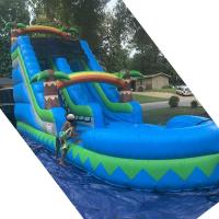 China CE/EN71/EN14960 Certified 30ft Outdoor Water Park Blue Tropical Palm Tree Water Slide for 5-10 Passengers for sale