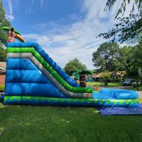 China CE/EN71/EN14960 Certified 30ft Outdoor Water Park Blue Tropical Palm Tree Water Slide for 5-10 Passengers for sale
