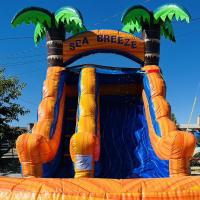 China Customizable Commercial Rental PVC Inflatable Water Park with Palm Tree Water Slide for sale