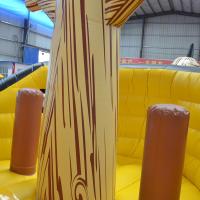 China Customized Color Commercial Inflatable Wet and Dry Slide Jumping Castle for Party Rentals for sale