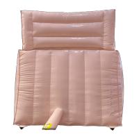 China Outdoor Commercial PVC Chocolate Color Inflatable Dry or Wet Slide for Party Rentals for sale