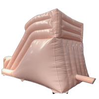 China Outdoor Commercial PVC Chocolate Color Inflatable Dry or Wet Slide for Party Rentals for sale