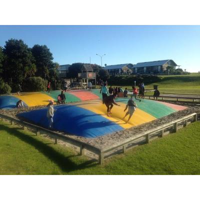 China Customized Kids Inflatable Kangaroo Jumper with EN14960 Certification and PVC Material for sale
