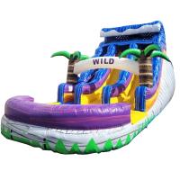 China Large Pool Kids Bounce Slide House Party Commercial Tropical Palm Trees Water Slide with Two Slip n Slide for sale