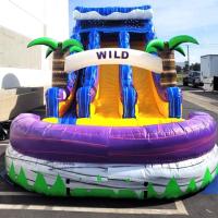 China Large Pool Kids Bounce Slide House Party Commercial Tropical Palm Trees Water Slide with Two Slip n Slide for sale