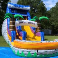 China Large Pool Kids Bounce Slide House Party Commercial Tropical Palm Trees Water Slide with Two Slip n Slide for sale