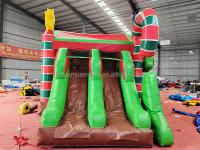 China Indoor/Outdoor Commercial Inflatable Christmas Bounce House with Double Slides and Blower for sale