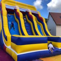 China Sea/Air/Express Shipping PVC Yellow Water Slide Inflatable with 2 Slides and 2 Pools for sale