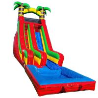 China PVC Backyard Tropical Palm Tree Water Slide with Detachable Pool and Digital Printing for sale