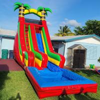 China PVC Backyard Tropical Palm Tree Water Slide with Detachable Pool and Digital Printing for sale