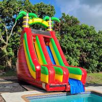 China PVC Backyard Tropical Palm Tree Water Slide with Detachable Pool and Digital Printing for sale