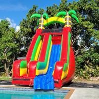 China PVC Backyard Tropical Palm Tree Water Slide with Detachable Pool and Digital Printing for sale
