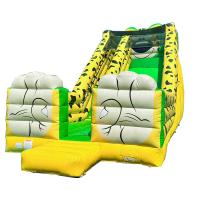 China Digital Printing Yellow Leopard Print Inflatable Bounce Water Slide for Kids and Adults for sale