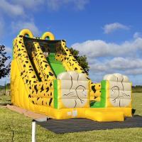 China Digital Printing Yellow Leopard Print Inflatable Bounce Water Slide for Kids and Adults for sale