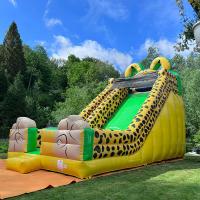 China Digital Printing Yellow Leopard Print Inflatable Bounce Water Slide for Kids and Adults for sale