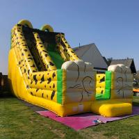 China Digital Printing Yellow Leopard Print Inflatable Bounce Water Slide for Kids and Adults for sale