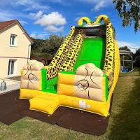 China Digital Printing Yellow Leopard Print Inflatable Bounce Water Slide for Kids and Adults for sale