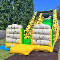 China Digital Printing Yellow Leopard Print Inflatable Bounce Water Slide for Kids and Adults for sale
