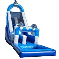 China 0.55mm PVC Tarpaulin Huge Dolphin Themed Inflatable Water Slide with Detachable Pool for sale