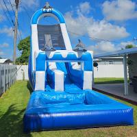 China 0.55mm PVC Tarpaulin Huge Dolphin Themed Inflatable Water Slide with Detachable Pool for sale