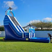 China 0.55mm PVC Tarpaulin Huge Dolphin Themed Inflatable Water Slide with Detachable Pool for sale