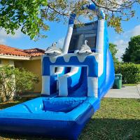 China 0.55mm PVC Tarpaulin Huge Dolphin Themed Inflatable Water Slide with Detachable Pool for sale