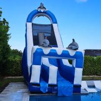 China 0.55mm PVC Tarpaulin Huge Dolphin Themed Inflatable Water Slide with Detachable Pool for sale