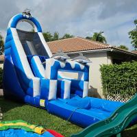 China 0.55mm PVC Tarpaulin Huge Dolphin Themed Inflatable Water Slide with Detachable Pool for sale