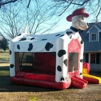 China Dalmatian Dog Bounce House Inflatable Castle Bouncer House with Slide and Accessories for sale