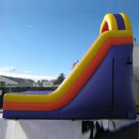 China Large Commercial Inflatable Dry or Water Slide Dual Slip and Slide for Party Rentals for sale
