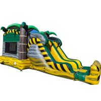 China Toxic Tropic Palm Tree Bouncy Castle Combo Ideal for Indoor and Outdoor Entertainment for sale
