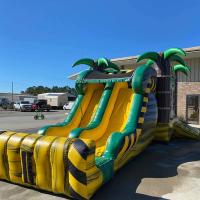 China Toxic Tropic Palm Tree Bouncy Castle Combo Ideal for Indoor and Outdoor Entertainment for sale