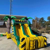 China Toxic Tropic Palm Tree Bouncy Castle Combo Ideal for Indoor and Outdoor Entertainment for sale