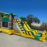 China Toxic Tropic Palm Tree Bouncy Castle Combo Ideal for Indoor and Outdoor Entertainment for sale