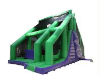China Unisex Family Garden Inflatable Slide Game CE Blower and Repair Accessories Included for sale