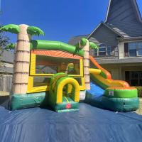 China Features PORTABLE Inflatable Castle Palm Tree Bounce House with Slide and Small Pool for sale