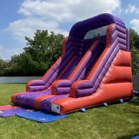China Backyard Bouncing Jumping Dry Slide for Kids and Adults Indoor PVC Purple Water Slide for sale