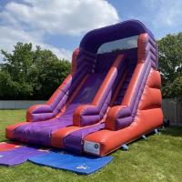 China Backyard Bouncing Jumping Dry Slide for Kids and Adults Indoor PVC Purple Water Slide for sale