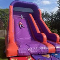 China Backyard Bouncing Jumping Dry Slide for Kids and Adults Indoor PVC Purple Water Slide for sale