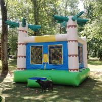 China 14 Years up Customized Color Tropical Palm Tree Bouncy Kids Bouncing Castle for Rent for sale