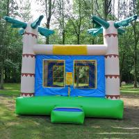 China 14 Years up Customized Color Tropical Palm Tree Bouncy Kids Bouncing Castle for Rent for sale