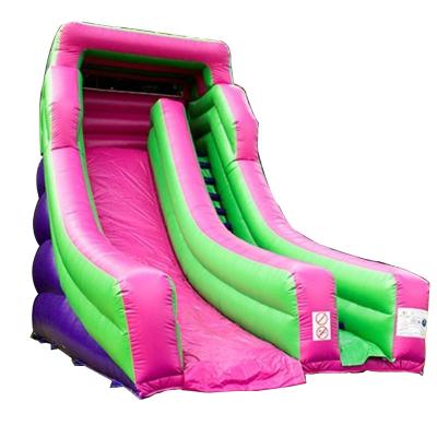 China Large Inflatable Dry Slide in Customized Color for Commercial Occasion at Water Park for sale